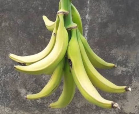 Ndizi Mshale – Mabibo Sokoni