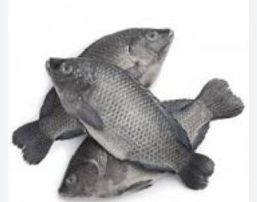 Samaki Sangara (1 KG) – Mabibo Sokoni